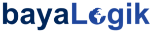 Bayasys | Transforming Businesses with Innovative IT and Software Solutions
