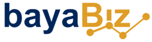 Bayasys | Transforming Businesses with Innovative IT and Software Solutions